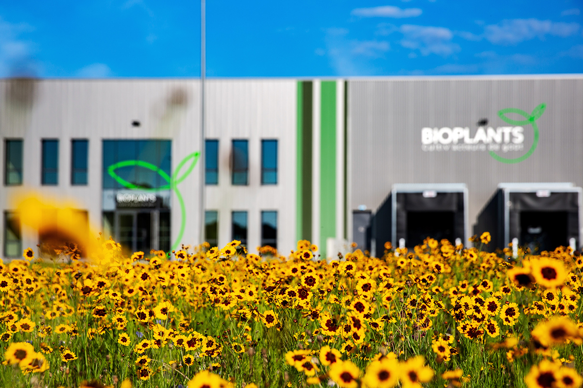 Bioplants set to double organic herb production in Atlantic France ...