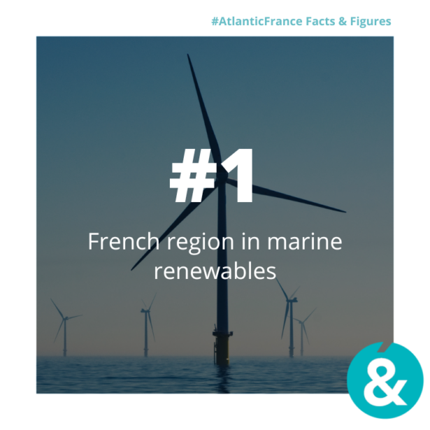 France accelerates offshore wind plans: marine renewables lead ...